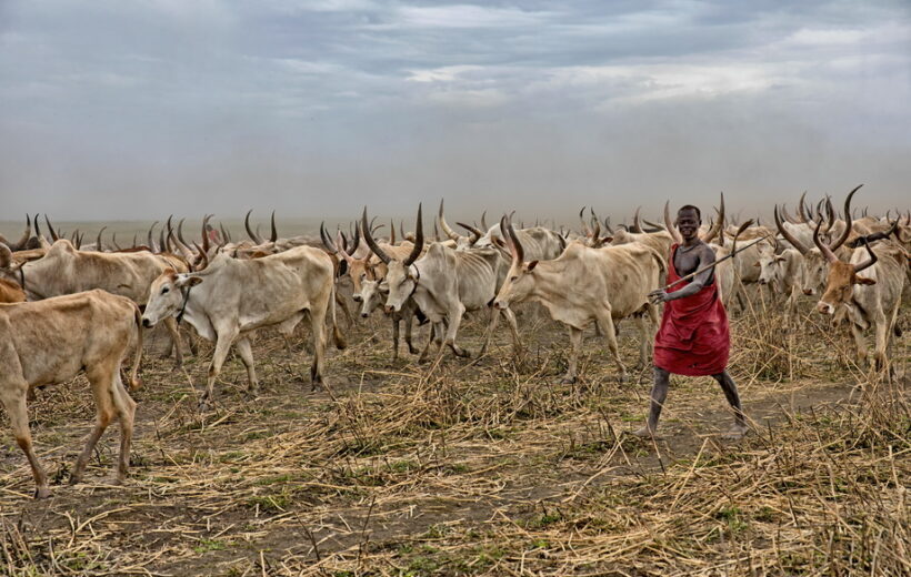 7 Day Trip Southern Omo Valley – Visions of Ethiopia Tours